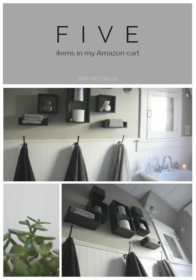 5 Items In My Amazon Cart New Nostalgia
